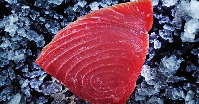 AA Grade AHI Tuna - Delivered Across the US | BlackboxMeats